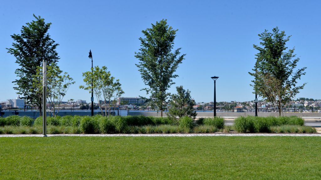 Meeting Technical Requirements with Green Roof Soil - rooflite - Green ...