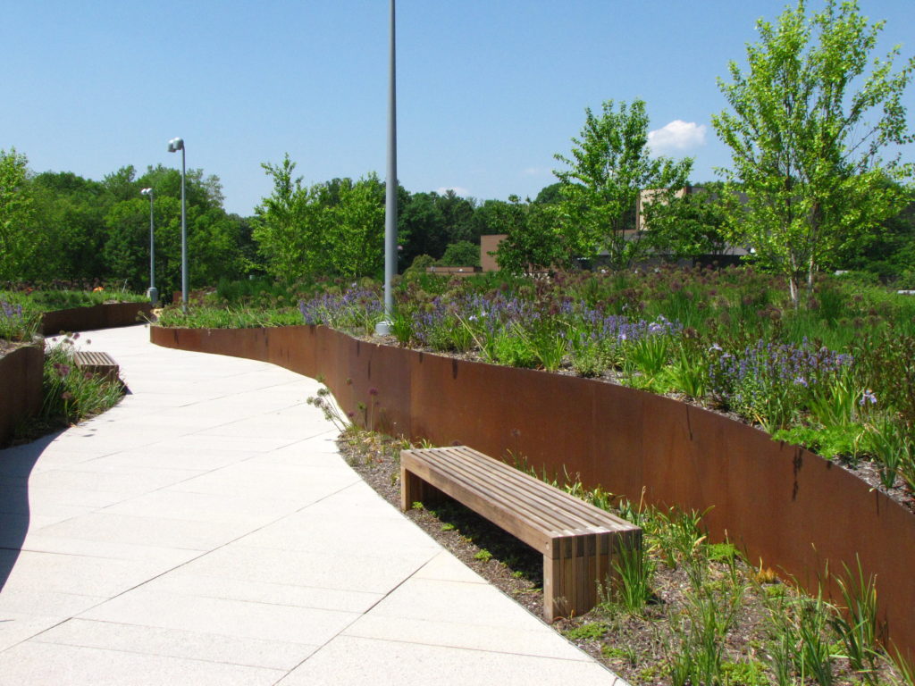 Planting Trees on Roofs & Using Deep Systems - rooflite - Green Roof ...