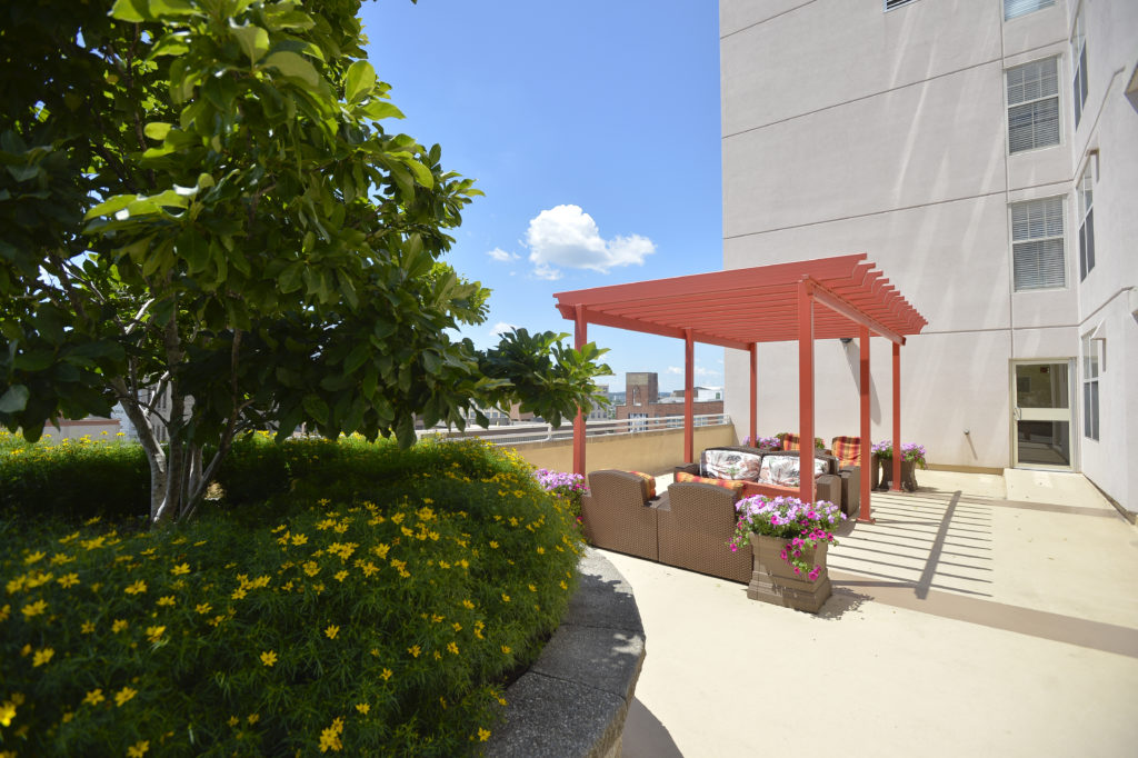 mike apice - _MAA3204 - rooflite - Green Roof Media Products