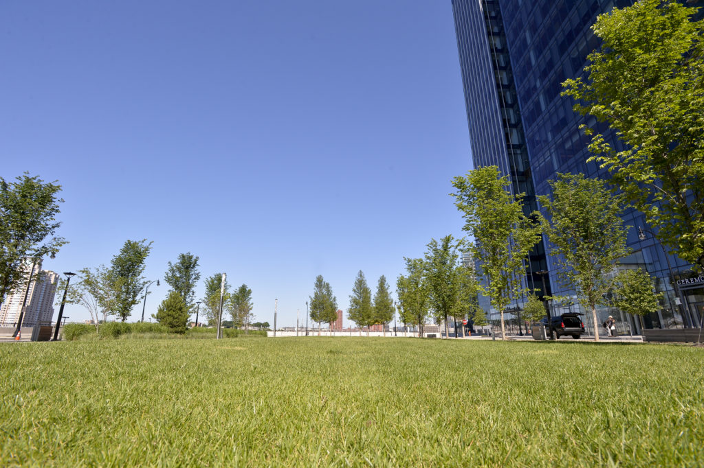 mike apice - _MAA3364-2 - rooflite - Green Roof Media Products